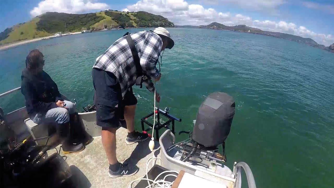Bay of Islands - Ipipiri Survey - YouTube