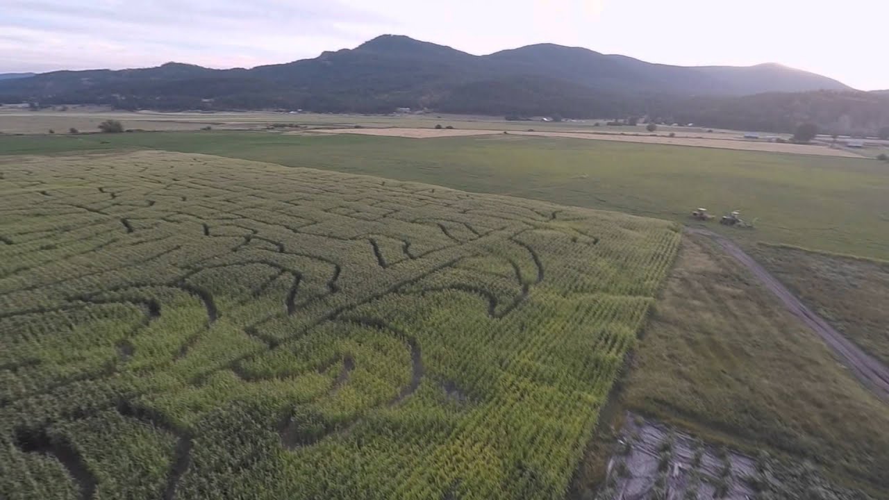 Colville Washington Corn Maze & Pumpkin Patch - 2015 - YouTube