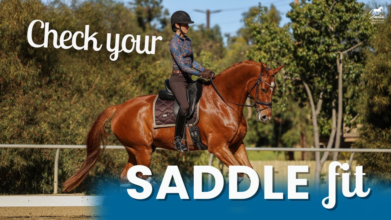 How to Assess Saddle Fit - YouTube
