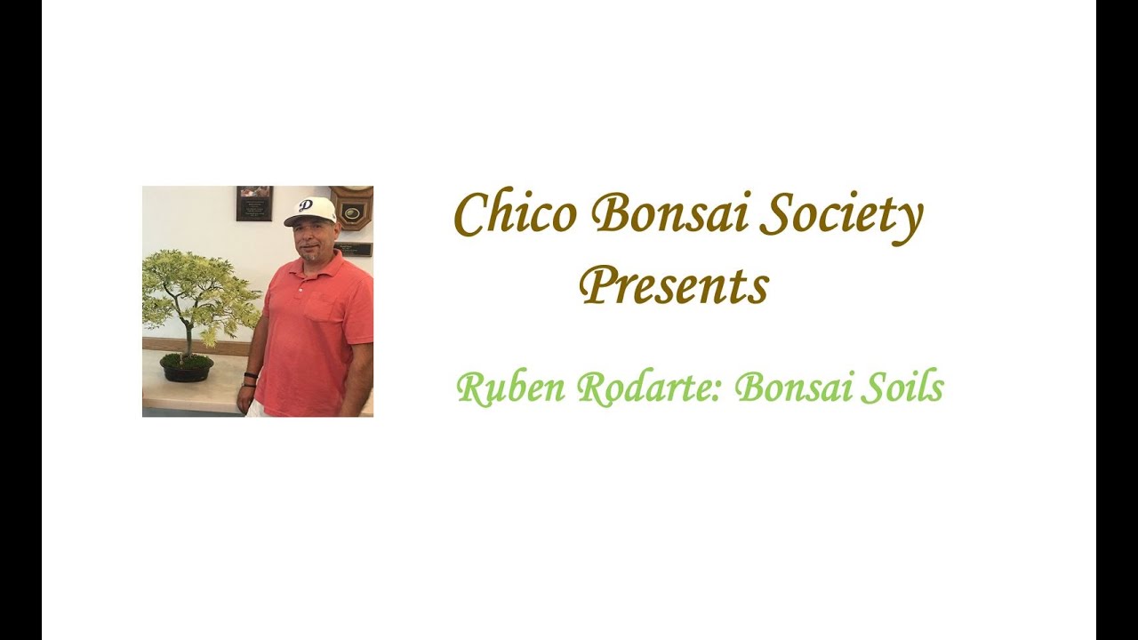 Chico Bonsai Society presents: Bonsai Soil with Ruben Rodarte - YouTube