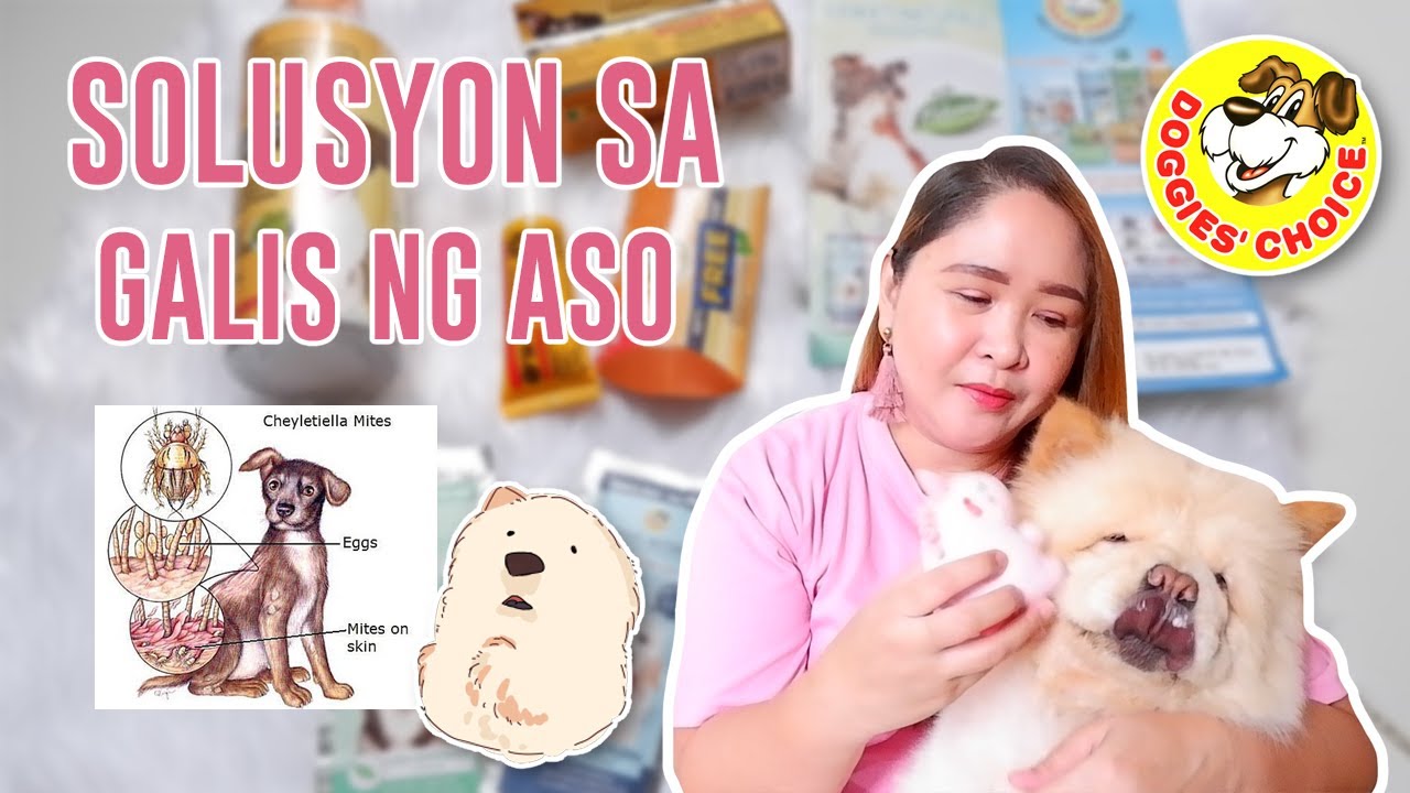 PAANO NAWALA ANG GALIS NG AKING ASO NA SI BELLA CHOW | PRODUCT REVIEW ...