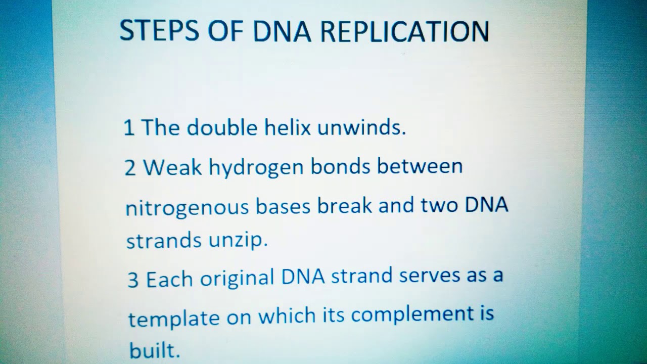 DNA REPLICATION GRADE 12 LIFE SCIENCES - YouTube