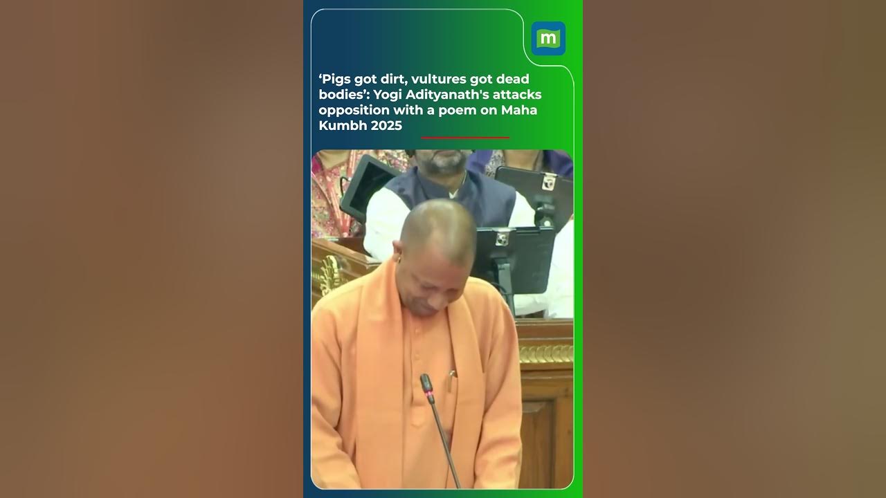‘Pigs got dirt, vultures got dead bodies’: Yogi Adityanath's attacks opposition on Maha Kumbh ...