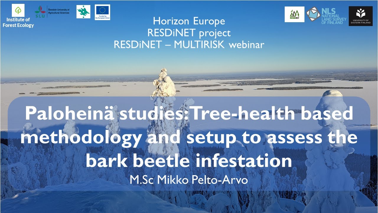 Paloheinä studies: Tree-health based methodology to assess bark beetle ...