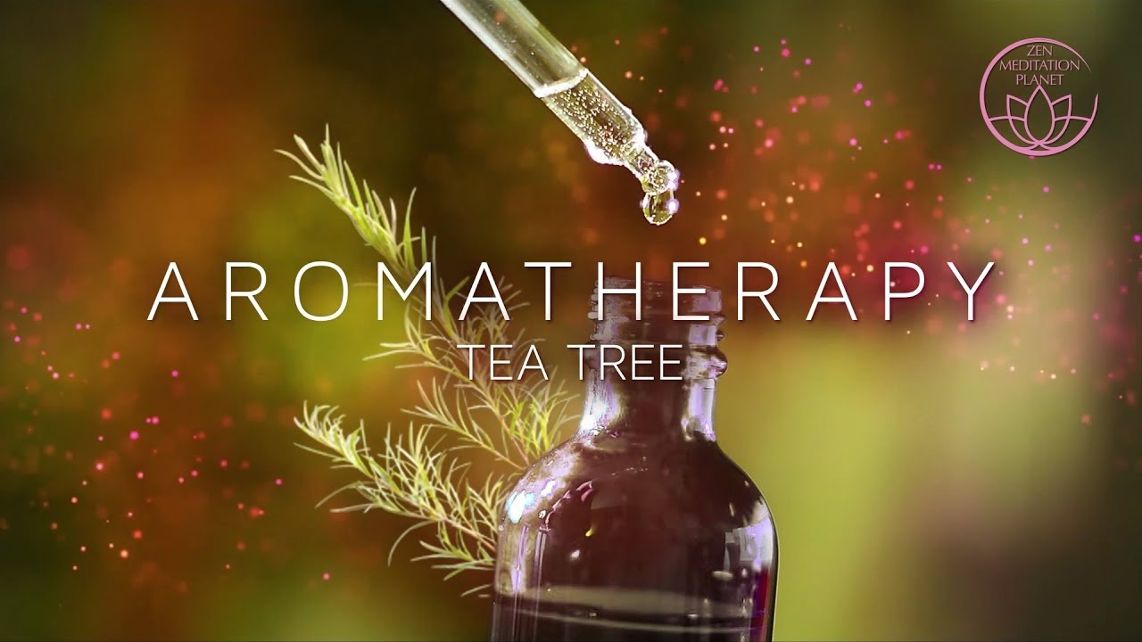 Tea Tree Oil - Soft Therapeutic Music, Aromatherapy Scent of Life ...