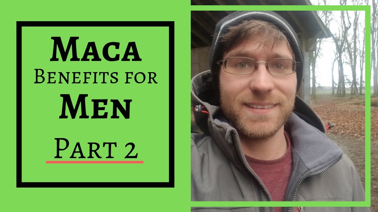 Maca Benefits for Men Part 2 [2019]😀 - YouTube