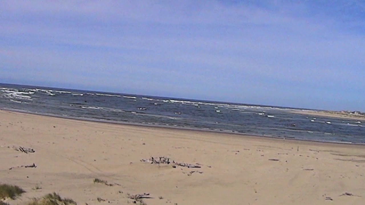 Alsea River Jaws - King Salmon Fishing (Tyee Salmon) - Oregon Coast ...