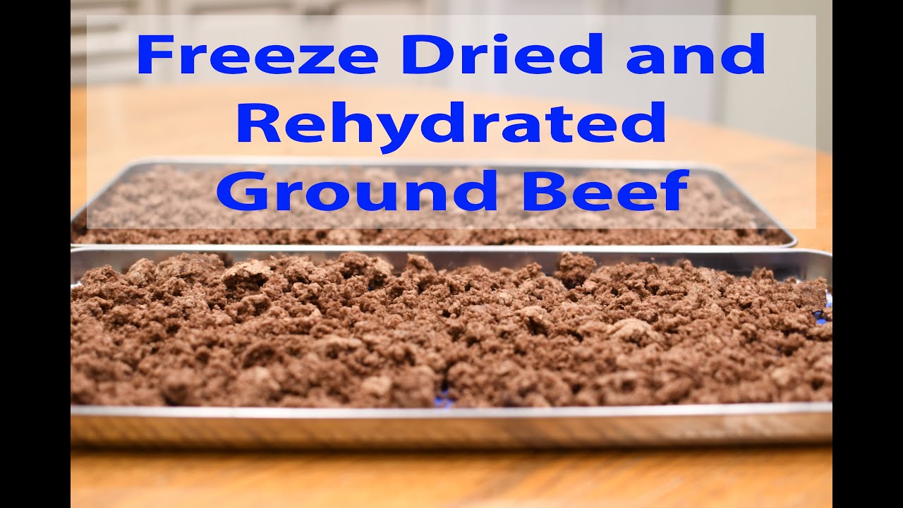 Freeze Drying 4 lbs of Ground Beef -- I could have done double this ...