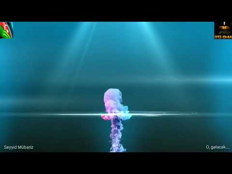 İmam Əli (ə)-ın nəsihətləri və hikmətli sözləri.