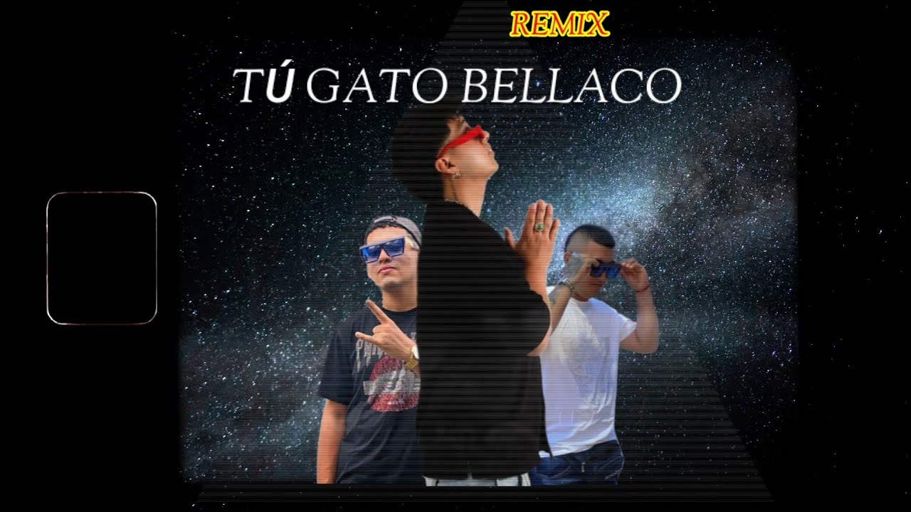 TU GATO BELLACO (Remix/Letra) - Milo Mae, Lucradys, Jandan - YouTube