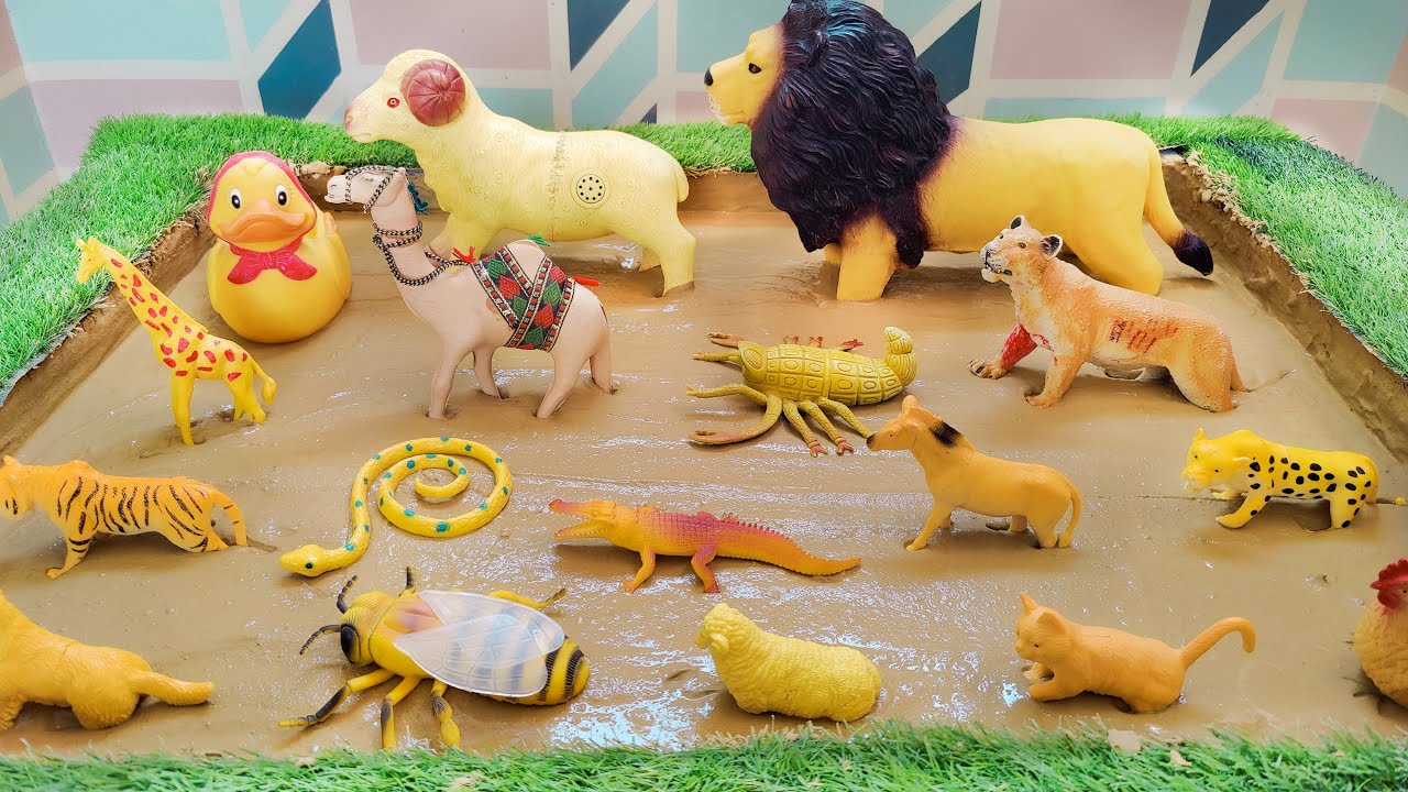 Golden Wonders: Fascinating Lives of Yellow Animals Around the World ...