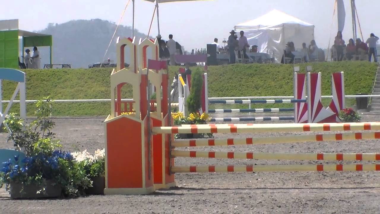 Dixie, f-2008 - YouTube