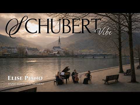 Soothing Cello Classic 🎻 [No Ads] | Gentle & Relaxing BGM for Reading & Rest | Elise Piano