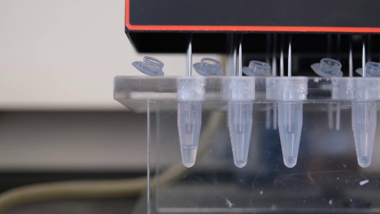 How to: Use a sample concentrator to dry solvent samples - YouTube