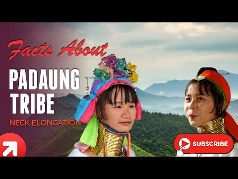 The Padaung tribe - They are famous for practice of neck elongation ...