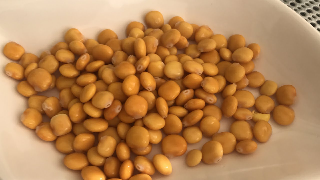 ANTALYA VE İTALYA’NIN TİRMİSİ-ANTALYA MEZELERİNDEN (TERMİYE)ÇOK ŞİFALI ...