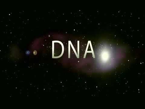 KOMEDI MOVIE TANTE SUKA BRONDONG 2016