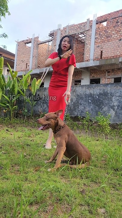 jangan godain tante cantik karena sudah punya anjing guys | cici sombong pamer pitbull guard dog ...