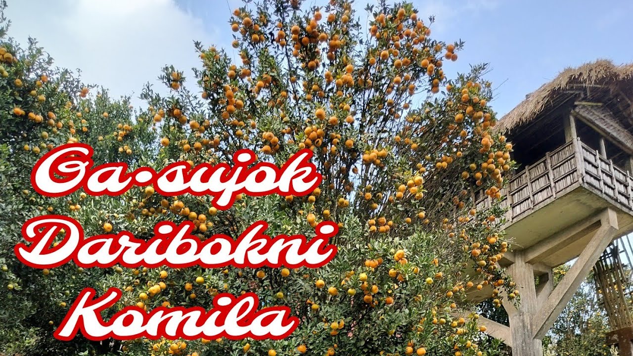 Daribokni Komila 🍊🍊 - YouTube