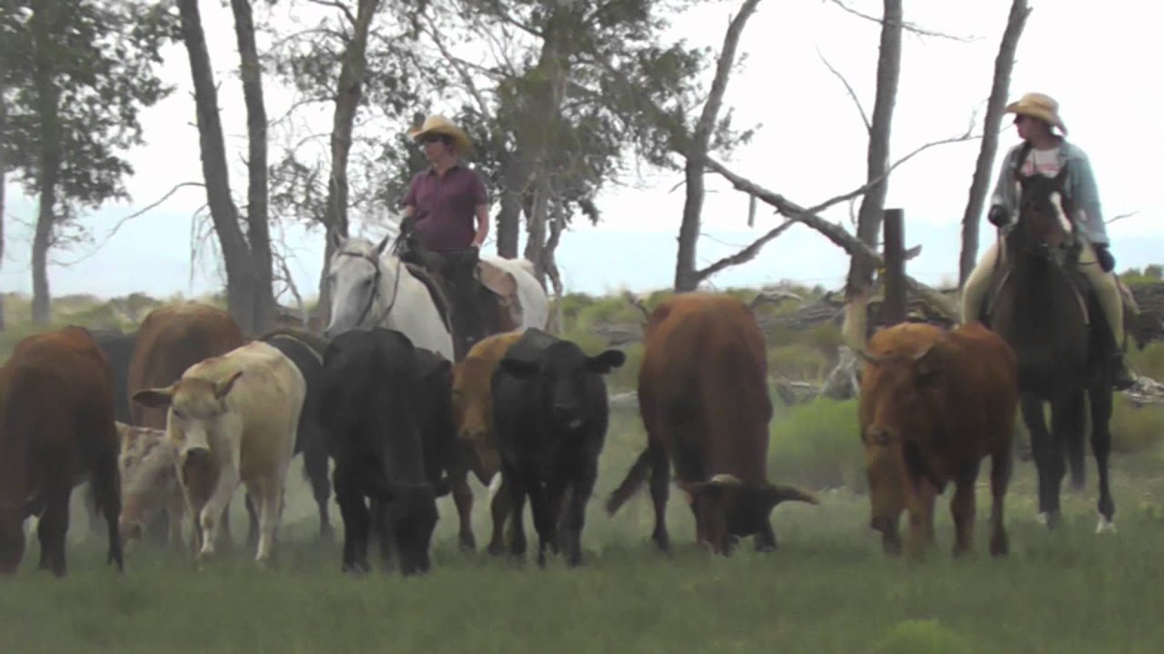 Zapata Ranch Mosca Colorado - YouTube