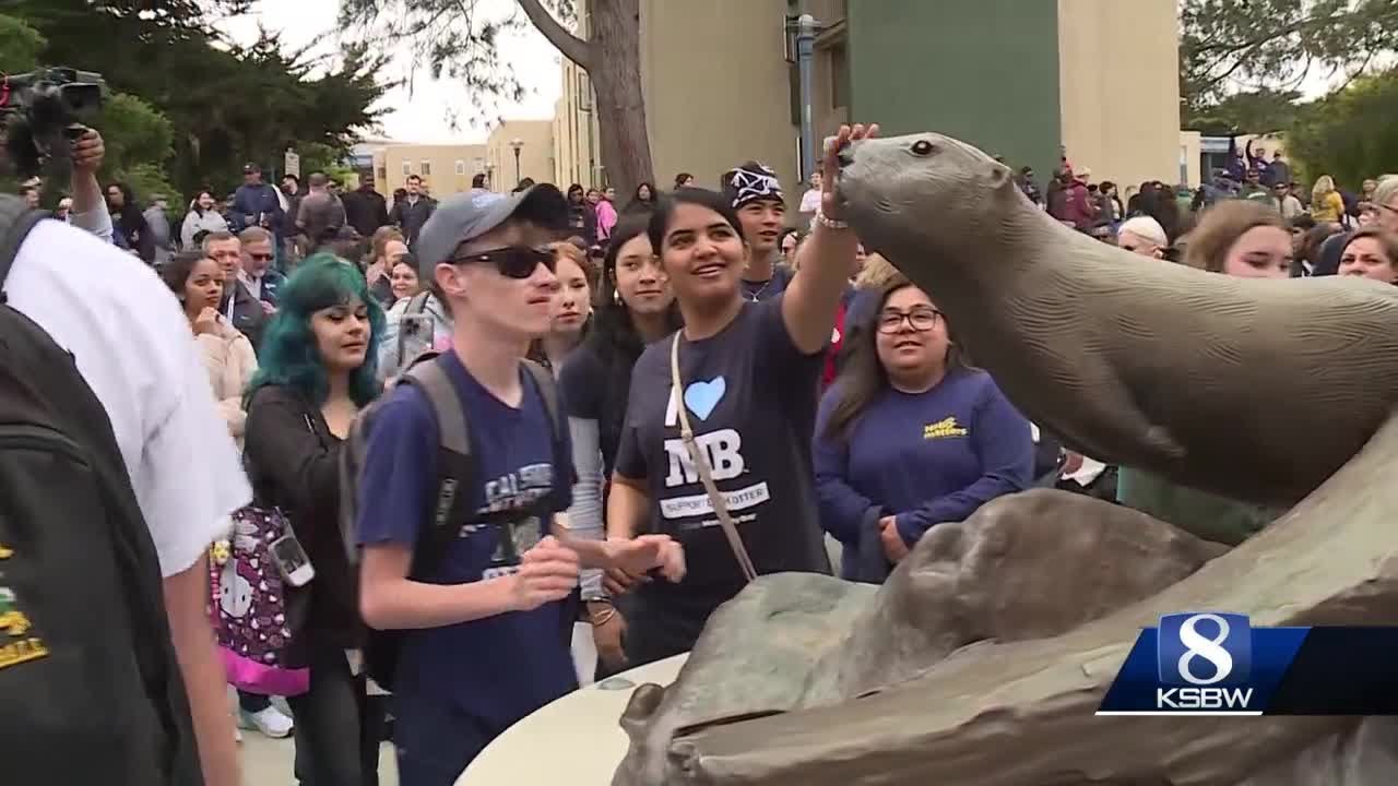 Cal State Monterey Bay unveils new otter statue - YouTube
