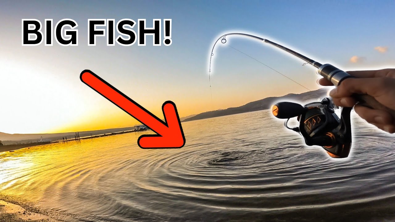 I CAN’T BELIEVE I CAUGHT THIS HUGE FISH IN JAPAN! 🇯🇵 🐟 - YouTube