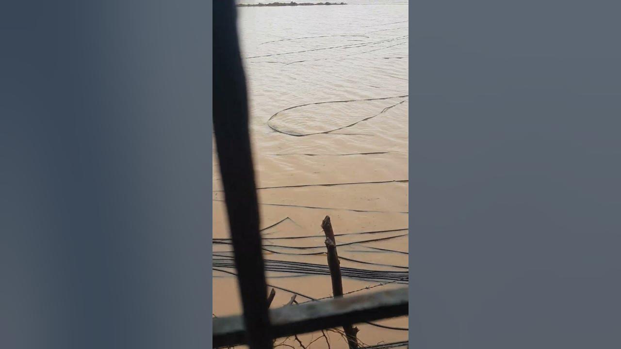 Ful Barish kheton Mein badhiya Sa Pani a Gaya - YouTube