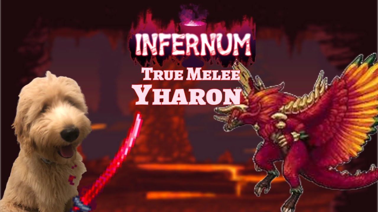 Yharon True Melee Terraria Calamity Infernum Mode (Full Fight) - YouTube