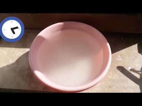 Düyü suyu ilə saç baxımım😍💕