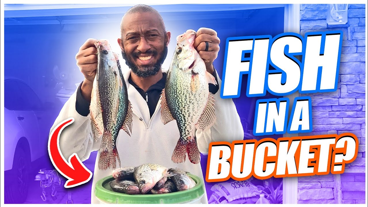 Homemade Fish Fertilizer: Keeping Plants Green!!! - YouTube