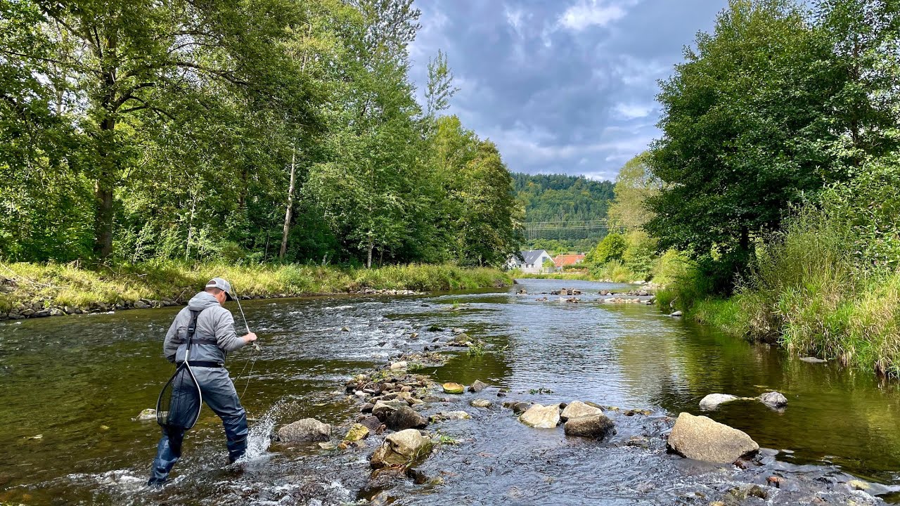 Fly Fishing in the Czech Republic - YouTube