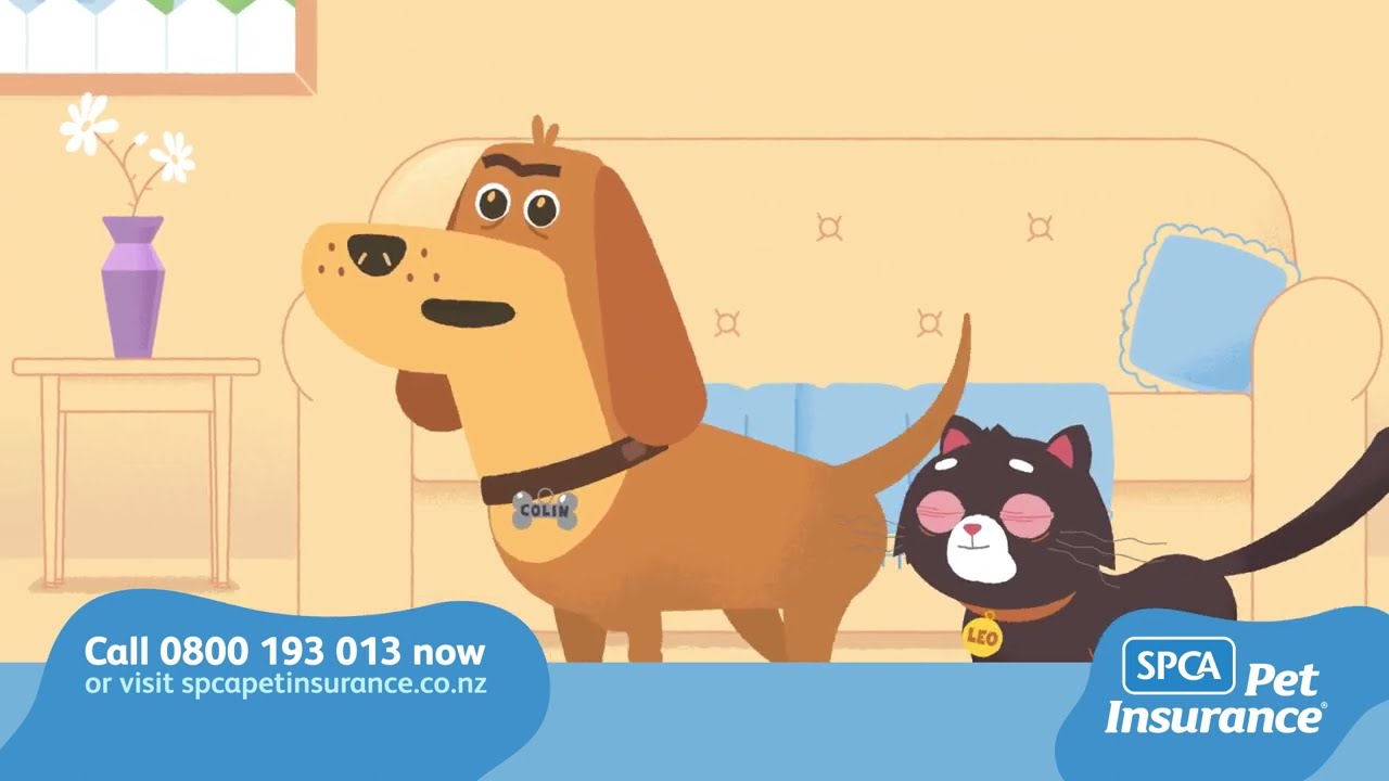 SPCA Pet Insurance ‘Soreeye’ TV Ad – 60sec - YouTube