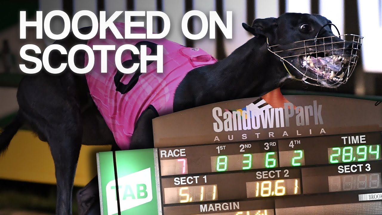 Hooked On Scotch sets a record breaking 28.94 - YouTube