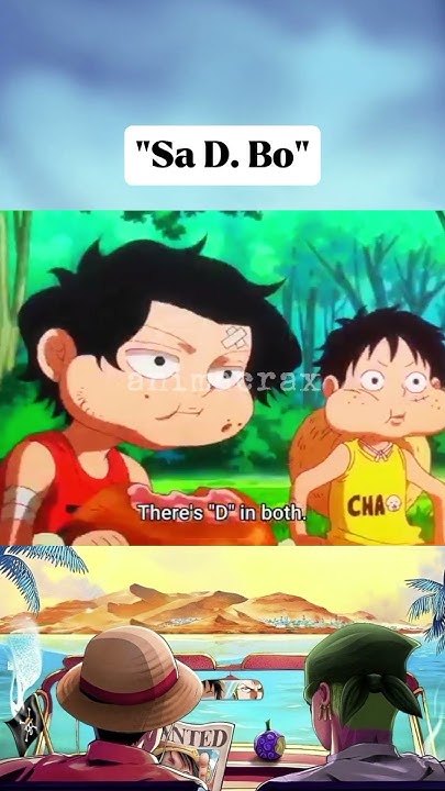 Onepiece Shorts Youtube