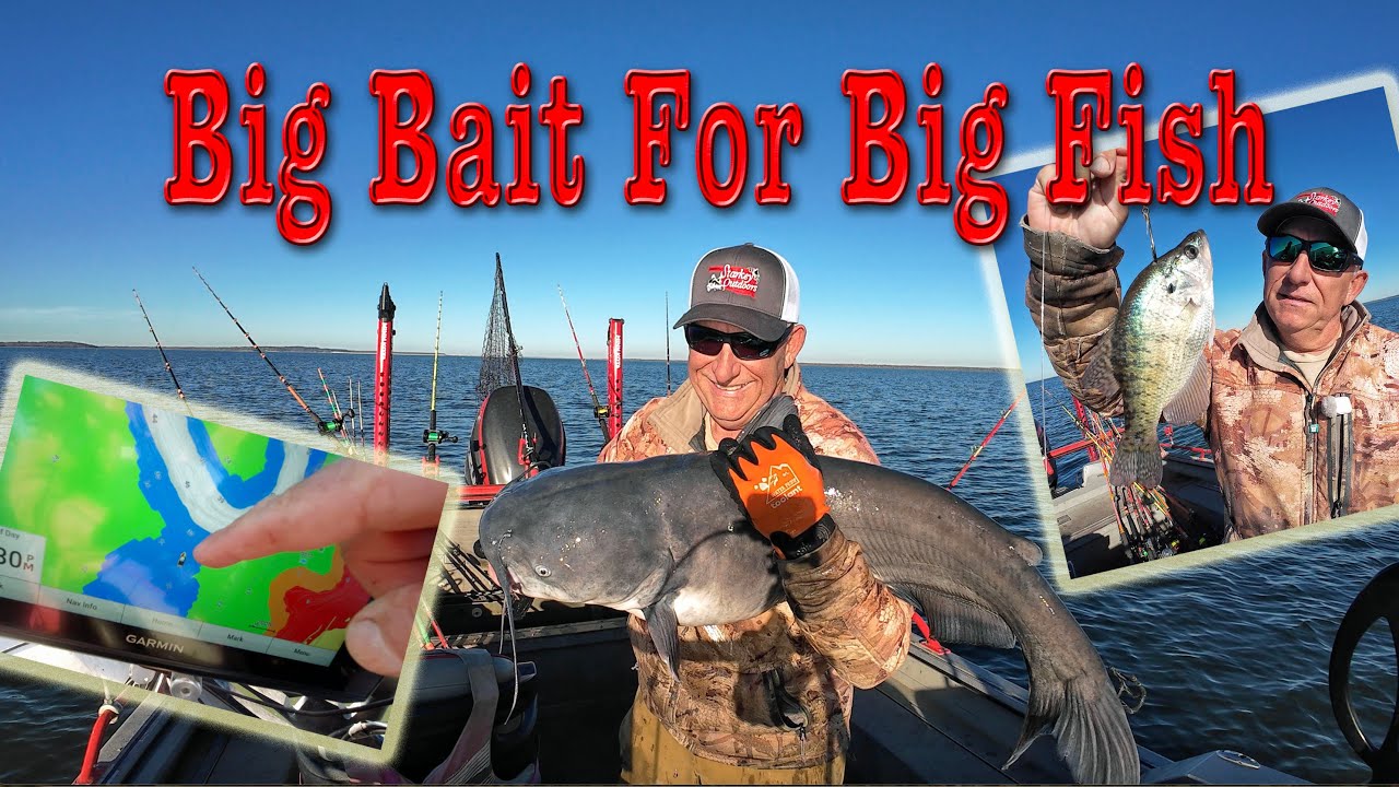 Fishing With Big Bait To Catch Bigger Catfish. Catfishing Lake Oologah ...