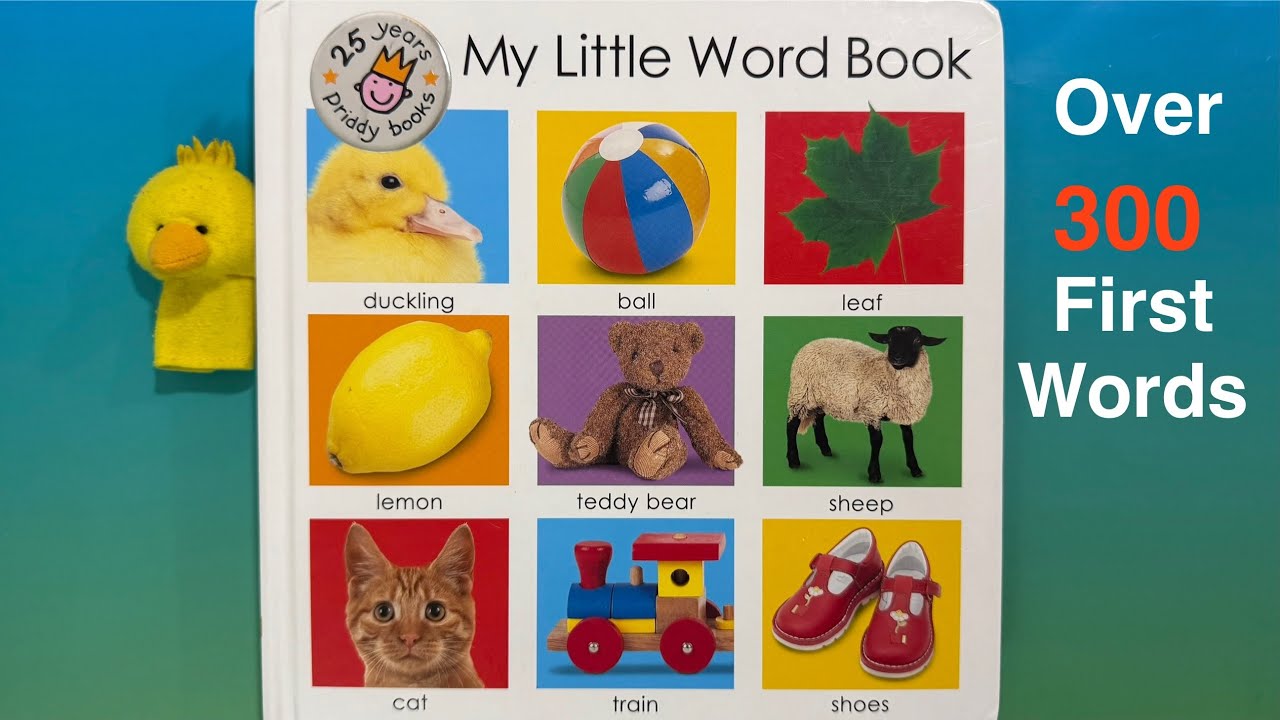 300 First Words for Babies & Toddlers| My Little Word Book by Priddy ...