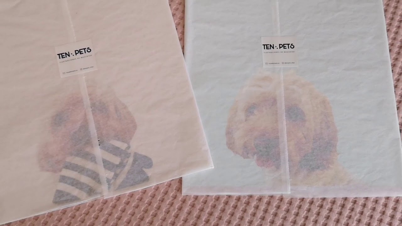 TEN PETS: ilustraciones de perros personalizadas - YouTube