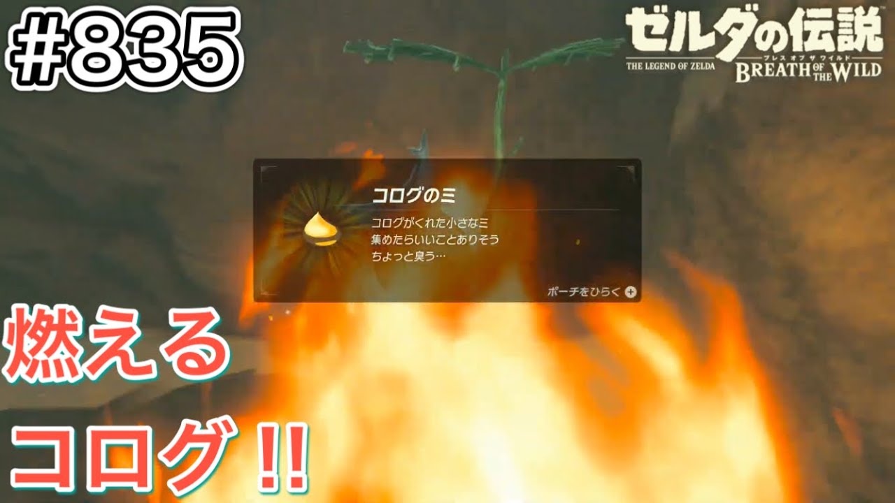 835】ヘブラ水源の北側の谷に、コログ発見！[ゼルダの伝説 ブレスオブザワイルド] - YouTube