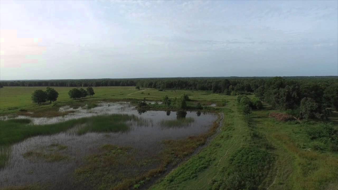 Four Way Ranch- United Country AltaTerra Realty and Auction - YouTube