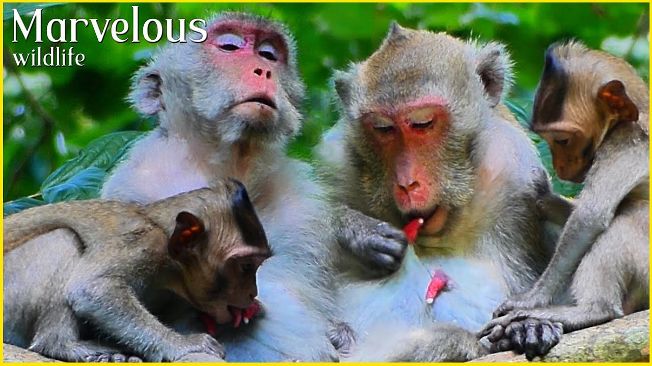 Wow...! Jonna & her mom Jane did not wait while the milk drained a lot ...