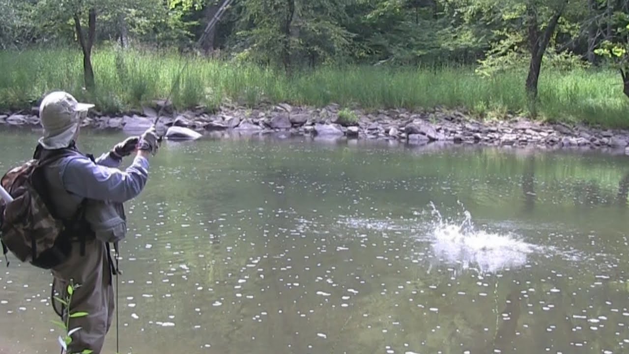 Fishing the Bluestone River, WV: Smallmouth Bass - YouTube