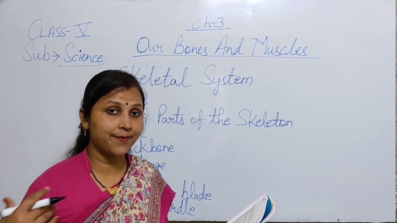 CLASS 5 SCIENCE CHAPTER 3 YouTube class-5-science-chapter-3-youtube
