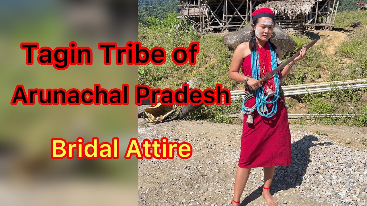 Tribal Life || Bridal Attire of Tagin Tribe of Arunachal Pradesh - YouTube