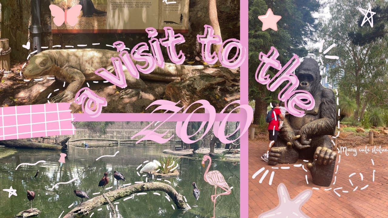 Visiting Perth zoo | Reptiles | Birds | Mammal | etc,… - YouTube
