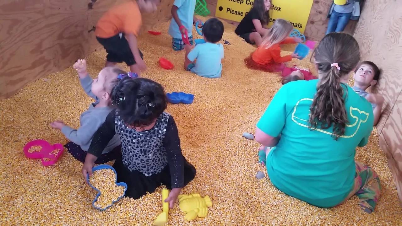 Kids playing in corn play area - YouTube