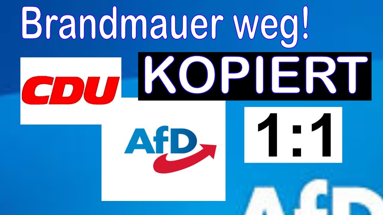 PK der AFD zum neuen CDU Grundsatzprogramm - YouTube