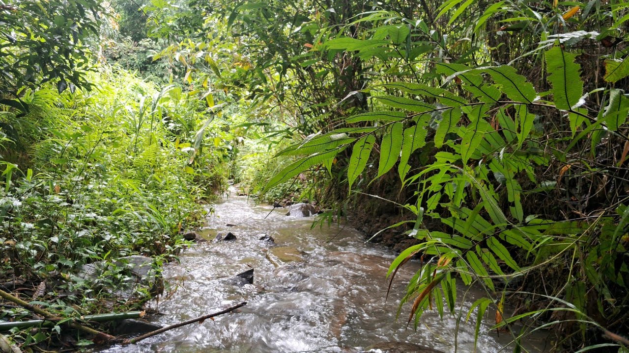 Relaxing Water Stream Sounds/ Water Fountain Sounds Relaxing/Sleep ...