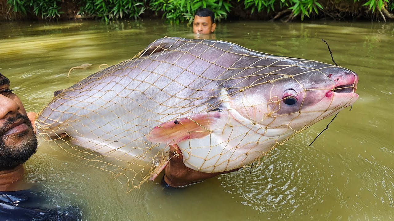 Amazing Big Fish Fishing With Cast Net | 100 Kg Big Fish Catch in Net ...