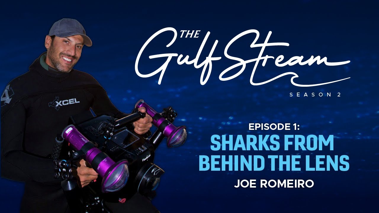 The Gulf Stream Podcast S2 Episode 1: Joe Romeiro "Sharks From Behind ...