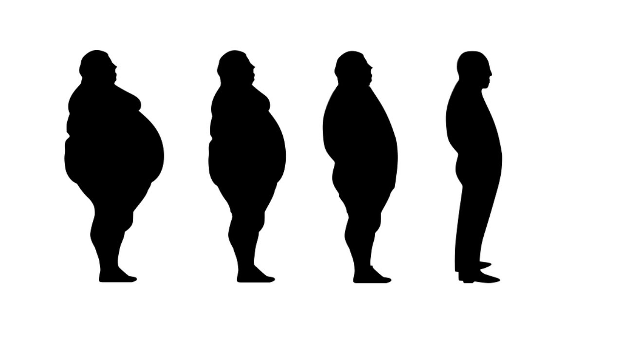 3 Stages of Weight Loss - YouTube